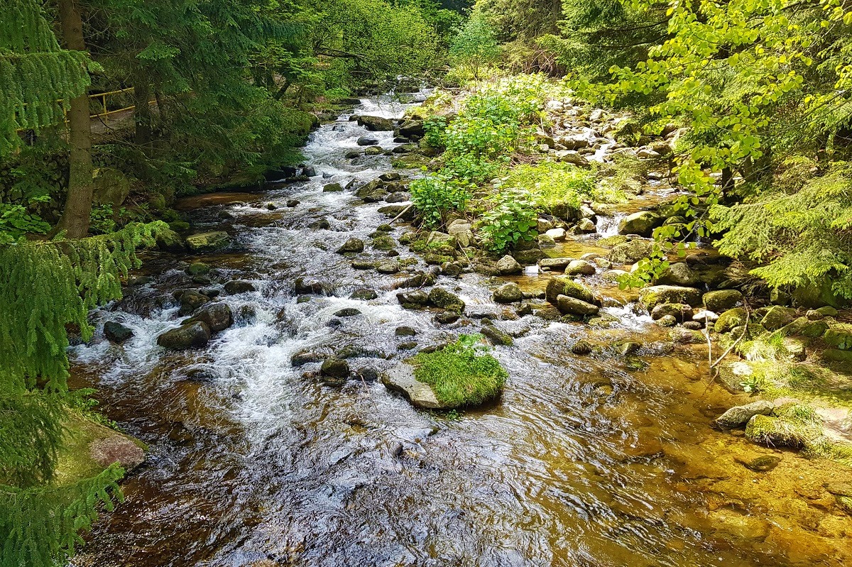 Pomysł na ogrodowy potok - Allegro.pl