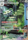 Pokémon TCG - Raging Surf - Ferrothorn (sv3a 072) - Japonská verze ...