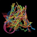 Perpetual Morphosis Dustin Wong CD, (634457146754) • Ceny, Recenze ...