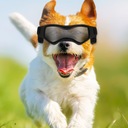 OKULARY PRZECIWSŁONECZNE ZWIERZĄT GOGLE DLA PSA CZARNE MAŁA RASA ...