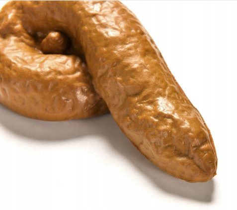 SZTUCZNA KUPA STOLEC ZRÓB ŻART KAWAŁ PREZENT PRANK 7835765242 - Allegro.pl