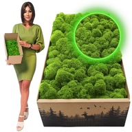 Mech morski - taniej na Allegro