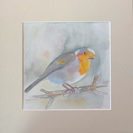 Rudzik Ptak - Niska cena na Allegro