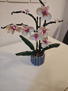 Lego Storczyk - Niska cena na Allegro