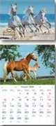 Kalendarz 2026 Konie - Niska cena na Allegro