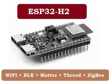 ESP32 - Allegro Lokalnie