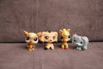 LPS - Allegro Lokalnie