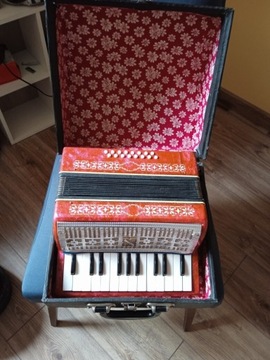 Akordeon - Allegro Lokalnie