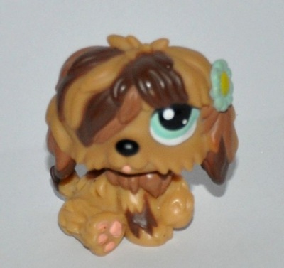 Littlest Pet Shop pies piesek jamnik Lps #556 - 13701763438 - oficjalne ...