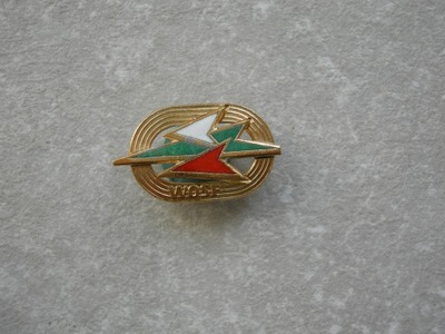 Odznaka WOSF WOJSKOWA ODZNAKA SPRAWNOŚCI FIZYCZNEJ ZŁOTA - 15160808661 ...