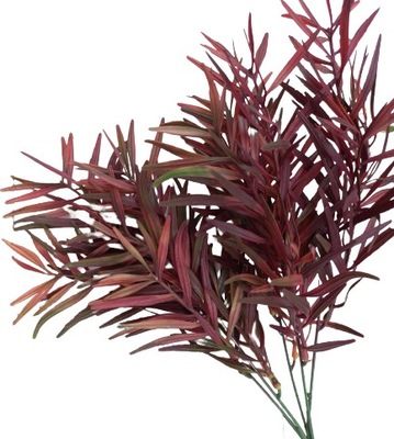 Gałązka Oset Ozdobny Sztuczne Gałązki Kwiaty - 11221398617 - oficjalne ...