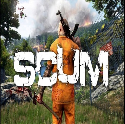 AVIASSEMBLY STEAM NOWA GRA PEŁNA WERSJA PC - Stan: Nowy 44.99PLN - Sklepy, Opinie, Ceny w Allegro