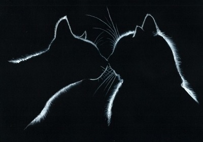 KOT kotek koty kotki Rysunek obraz na prezent - A4 - 14039272090 ...