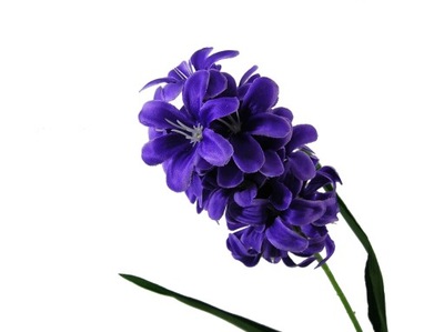 GAŁĄZKA HIACYNTA MALINOWY HIACYNT HIACYNTY - 13152672812 - oficjalne ...