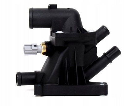 TERMOSTAT KRÓCIEC FOCUS C-MAX JQDB 1.6 ECOBOOST - 13156505456 - oficjalne archiwum Allegro