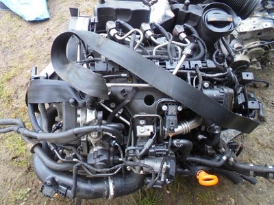 SILNIK VW 1.2 TDI KOD CFW KOMPLETNY - 13422798412 - oficjalne archiwum ...