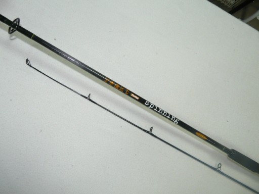 SILSTAR Spin 3m graphite 30-60g szczupak - F1502300 - 8749978331 ...