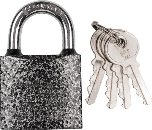 Kłódka jarzmowa na klucz RICHMANN (5906741693301) • Cena, Opinie ...