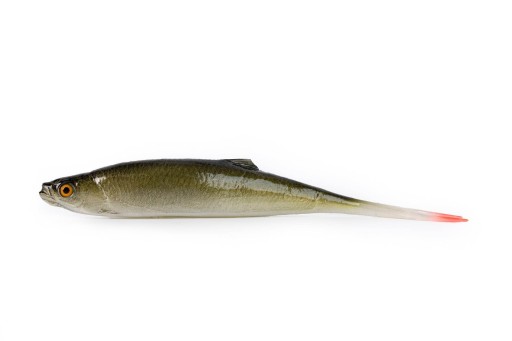 GUMA ALPHA REAL FISH UKLEJA 21cm ZIELONA VERTICAL - 13469588548 - Allegro