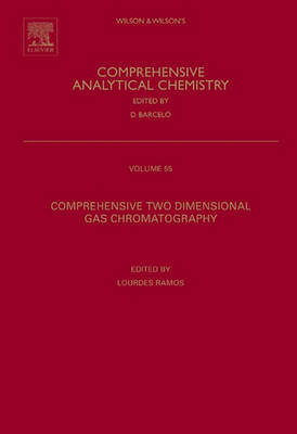 Comprehensive Two Dimensional Gas Chromatography (9665842635) | Ebook Allegro