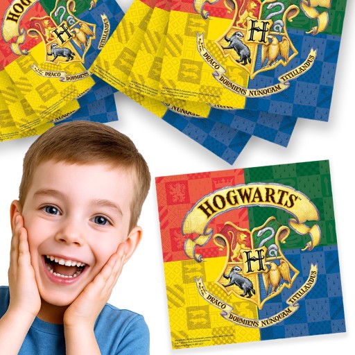 PAPIEROVÉ OBRÚSKY HARRY POTTER HOGWART PRE DETI NA NARODENINY 20KS za 3 ...