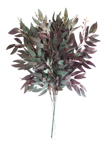 RUSKUS LIŚCIE ZIELONE GAŁĄZKA DEKORACYJNA PIK 60cm (RUSKUS LIŚCIE ...