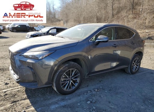Lexus NX 2023 2.4l - Allegro