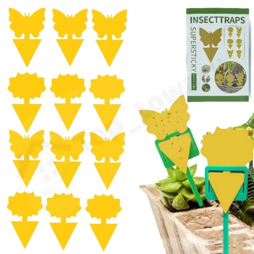12x ŻÓŁTY LEP DO DONICZEK MOTYL na ziemiórki mszyce muszki owocówki ... 12x ŻÓŁTY LEP DO DONICZEK MOTYL na ziemiórki mszyce muszki owocówki ...