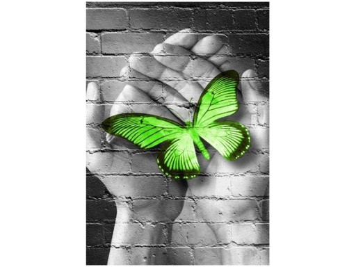 Obraz Green Butterfly motyl dłoń cegła 15841959615 - Allegro.pl Obraz Green Butterfly motyl dłoń cegła 15841959615 - Allegro.pl