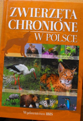 Zwierzęta chronione w Polsce Weber Sylwia Literatura piękna(12447532464) | Książka Allegro