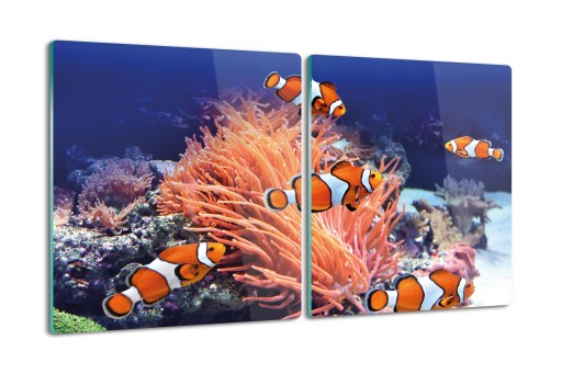 üvegtábla 2x40x52 dupla bohóc hal zátony za 16675.00HUF-ért - Allegro