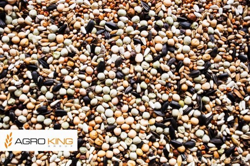 KARMA DLA GOŁĘBI MŁODE LOT AGRO KING MŁ-L 20KG | Cena: 79.99PLN | Allegro | Jędrzejów | ID ...