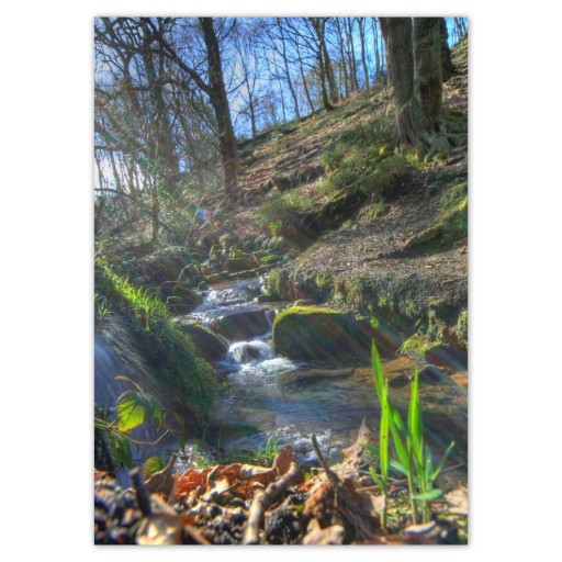 A3-as méretű, álló formátumú poszter/matrica - Napkelte, • Ár, Vélemények - Allegro