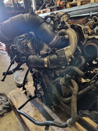 SILNIK AUDI SEAT SKODA VW 2.0 TDI CFG KOMPLETNY CFG CFGB CFGC CFGD za ...