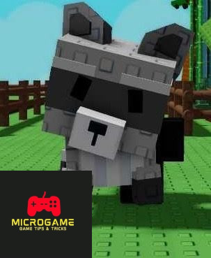 Raccoon | Pet | Grow A Garden | GaG | Roblox - Stan: 37.00PLN - Sklepy ...