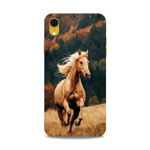 POUZDRO POUZDRO PRO IPHONE APPLE XR - AUDI MOTORSPORT TUNING AUTA ...