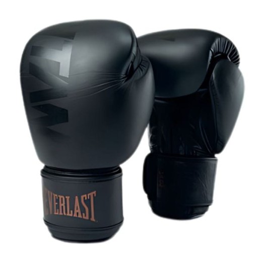 EVERLAST RUKAVICE MUAY THAI TITAN BLACK 16 oz. + DÁREK za 4505.00CZK ...