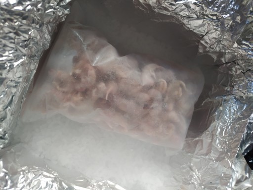 Myszy mrożone oseski 1/2g oseski mysie 100 sztuk • Cena, Opinie ...