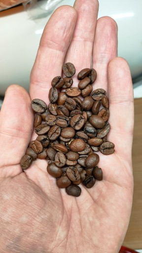 Kawa ziarnista 1kg - DE BOA 100% Arabica - ŚWIEŻO PALONA Blue Orca ... Kawa ziarnista 1kg - DE BOA 100% Arabica - ŚWIEŻO PALONA Blue Orca ...