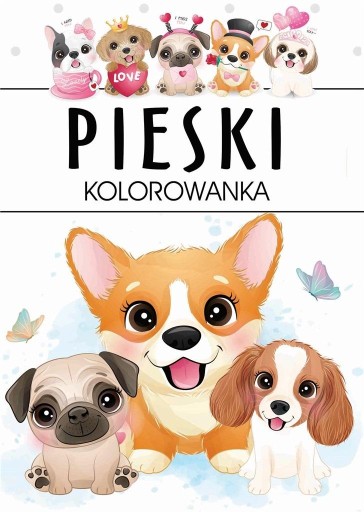 PIESKI KOLOROWANKA MALOWANKA Z NAKLEJKAMI (13420691058) | Książka Allegro