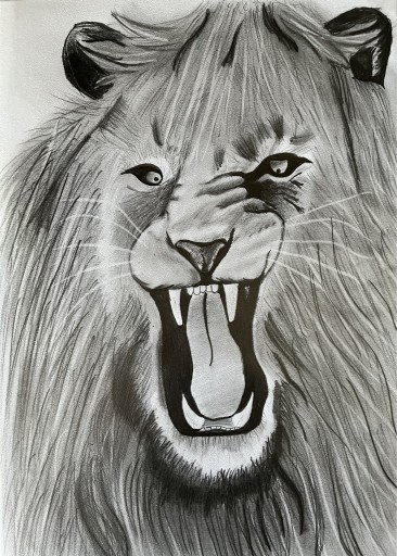Rysunek „Lew” obraz rysowany ołówkiem format A4 | Jelenia Gora | Kup ...
