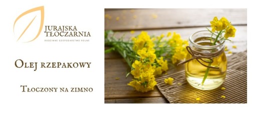 Olej rzepakowy tłoczony na zimno 500ml | Gulzów | Kup teraz na Allegro Lokalnie