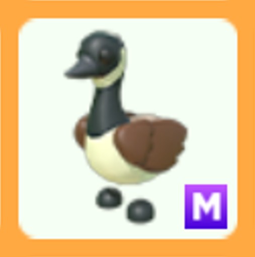 Roblox Adopt Me Canada Goose mega neon M | Lwówek | Kup teraz na ...