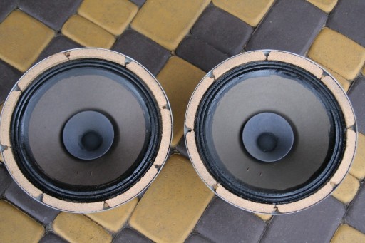 Głośniki szerokopasmowe Philips AD 12100 M4 | Rozogi | Kup teraz na ...