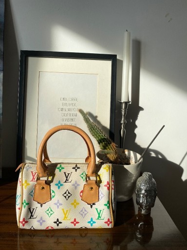 Louis vuitton mini speedy store