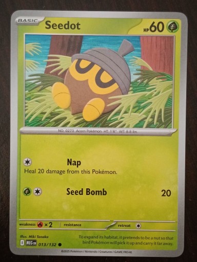 Seedot 013/132 Karta POKEMON TCG Mega evolution | Siedlce | Kup teraz ...