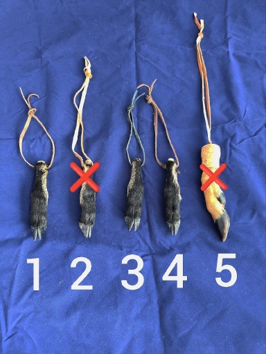 Owcza oraz sarnia raciczka taksydermia breloczek zawieszka samochód ...