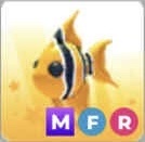 Adopt me Angelfish MFR mega fly ride | Warszawa | Kup teraz na Allegro ...