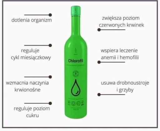 Chlorofil w płynie 750 ml. Duolife | Borki | Kup teraz na Allegro Lokalnie