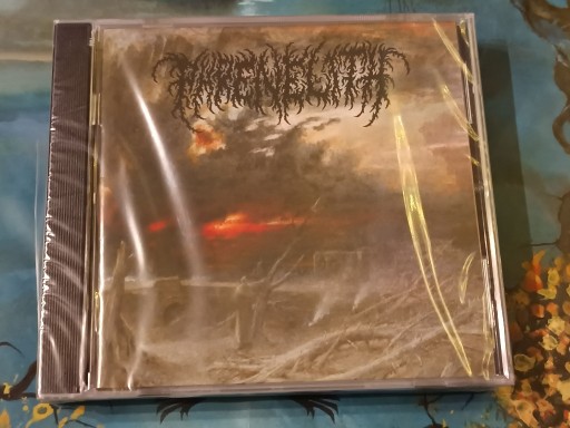 PHRENELITH - Desolate Endscape CD dark descent | Skarżysko-Kamienna ...